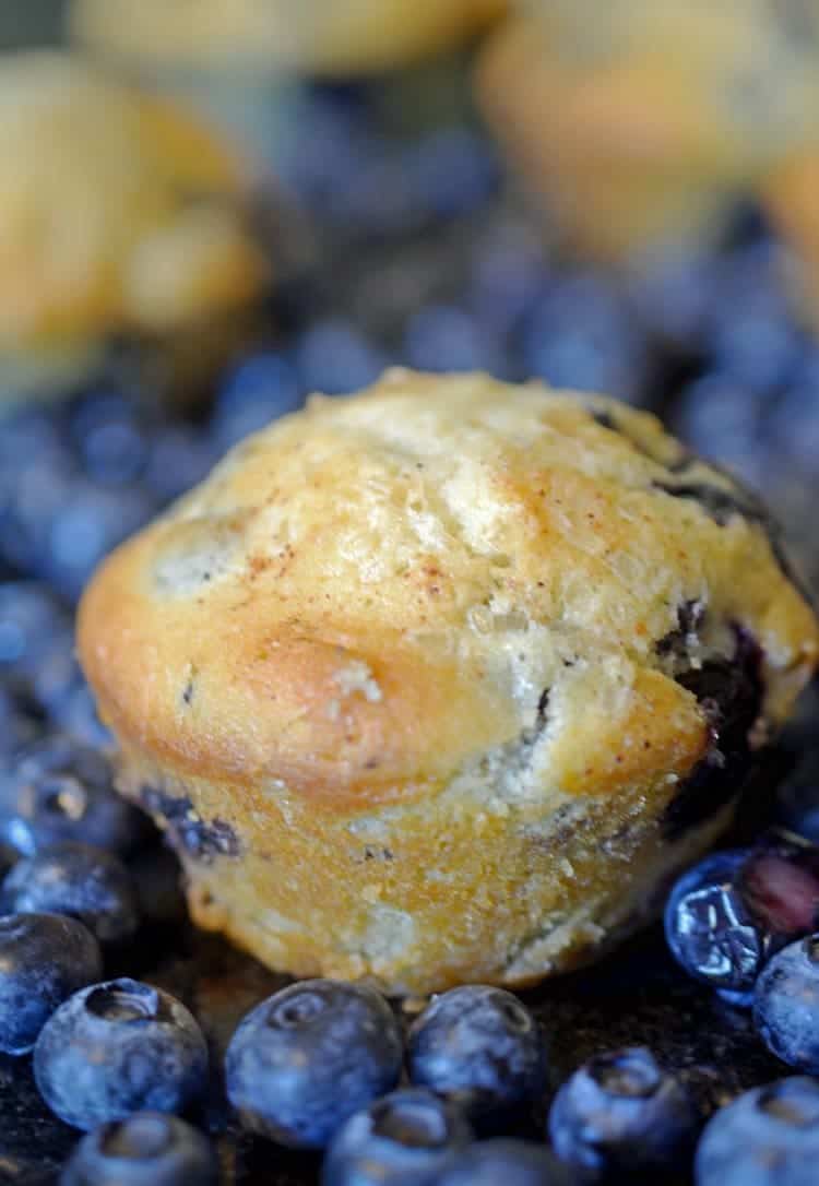 Homemade Blueberry Muffins - Platter Talk