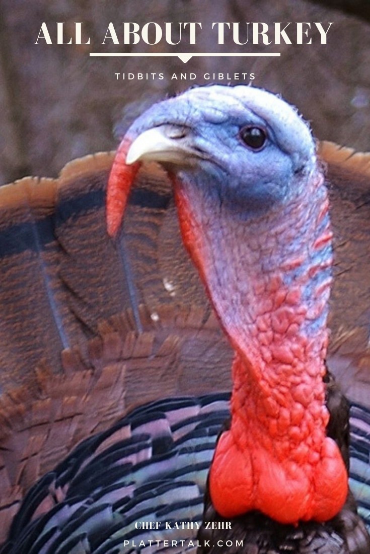 Thanksgiving Turkey Facts and Fun - Platter Talk