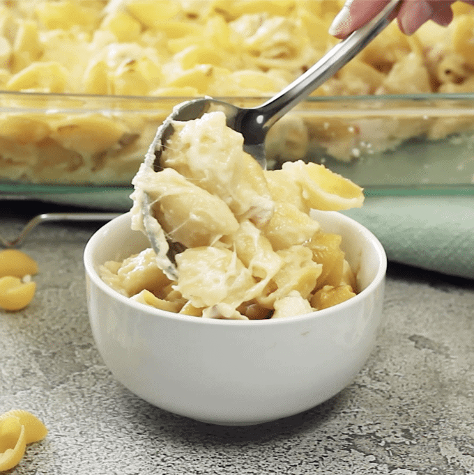 Leftover Chicken Recipe for Crispy Shells Casserole - Platter Talk